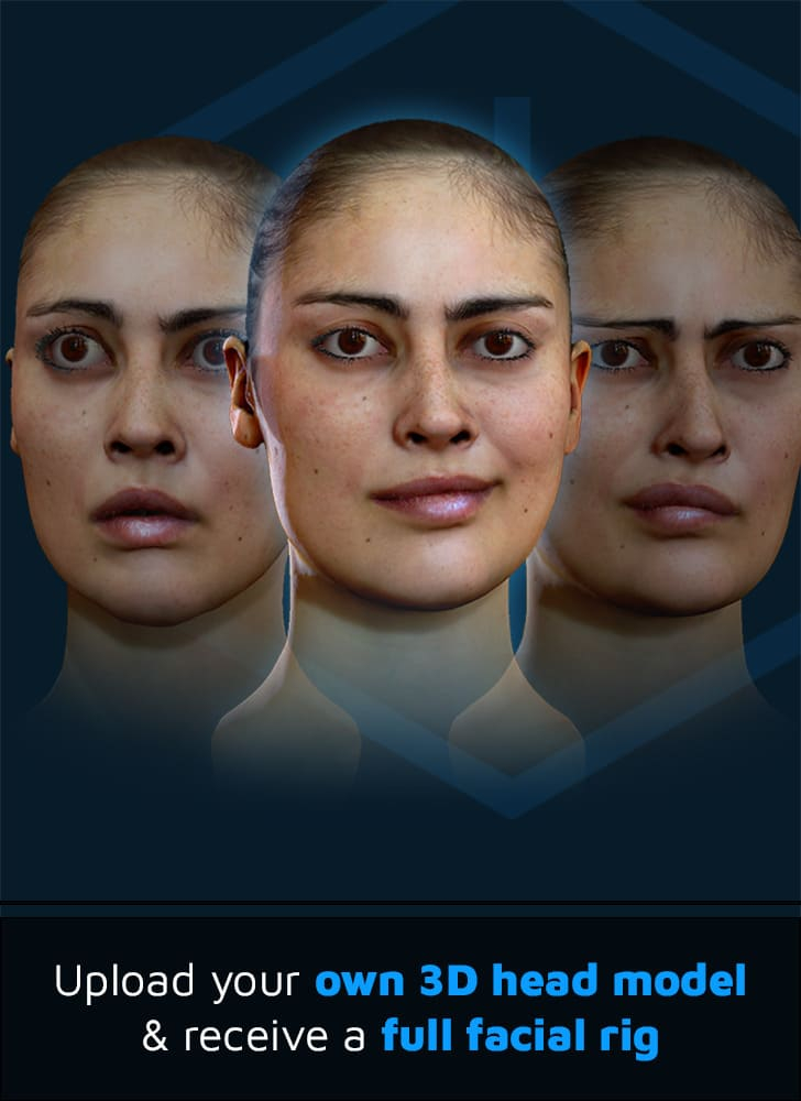 Facial Rig on Demand - Automatically generated Facial Rigging with 236 ...